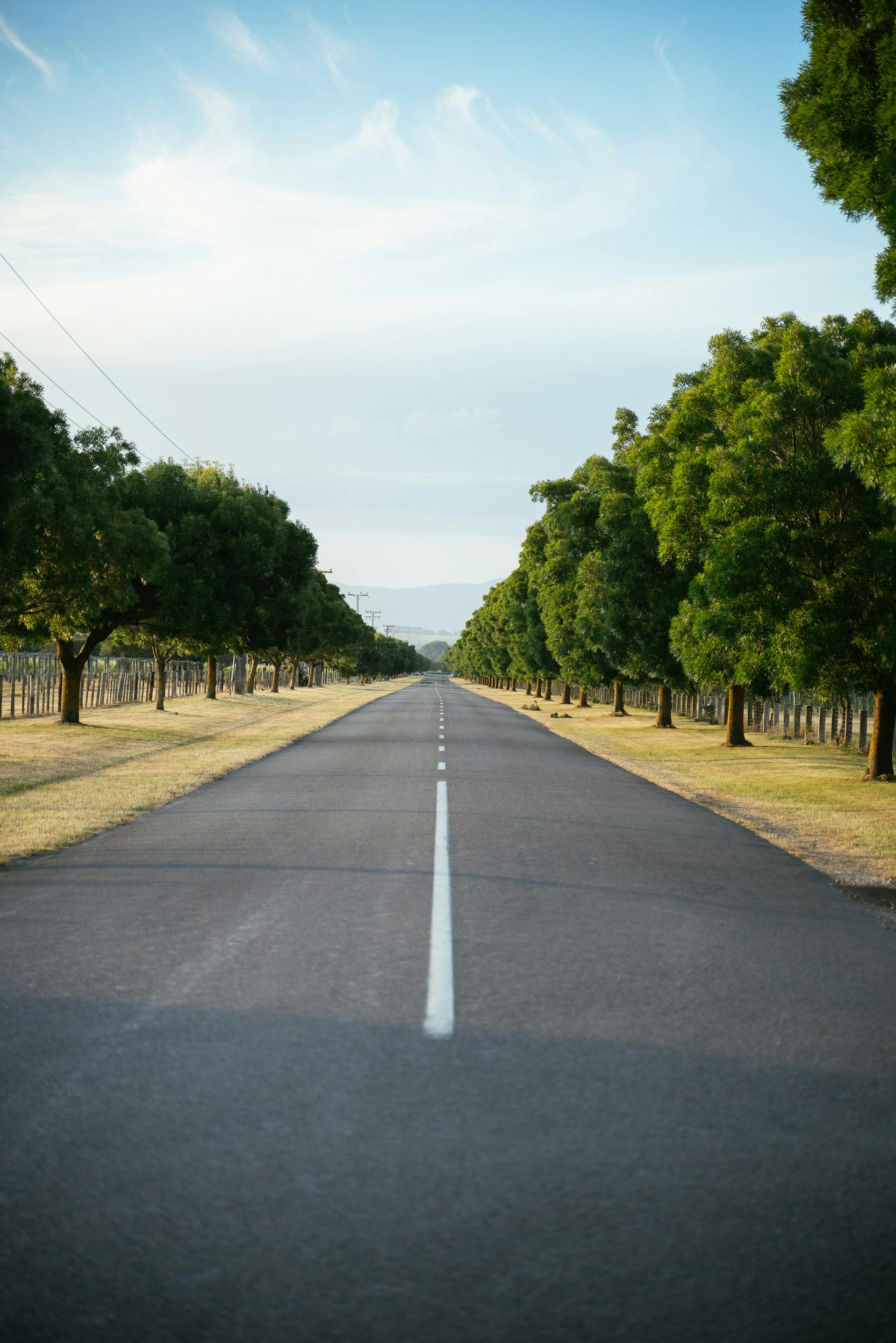 Moy Hall Wines | Our Story