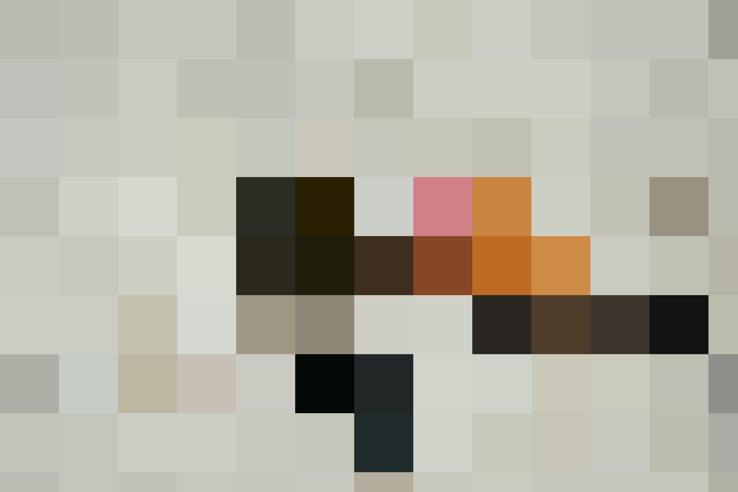 Moy Hall Wines | Moy Hall Wines, Vineyard & Restaurant in…