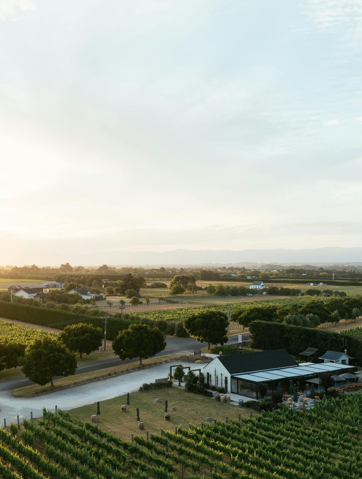 Moy Hall Wines | Our Story